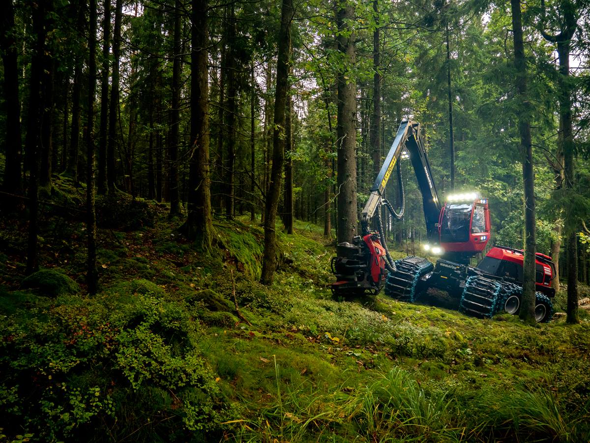 Kraftvoller Komatsu Harvester für die Holzernte in steilem Gelände